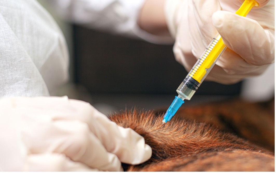 Veterinarian responsibilities around RVM labelling